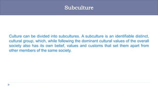 Cb environment influene on consumer behavior subculture | PPTX
