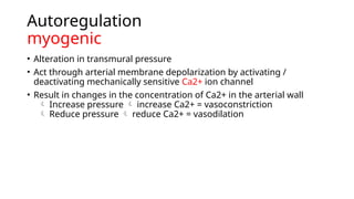 Cerebral blood flow autoregulation and brain energy metabolism | PPTX