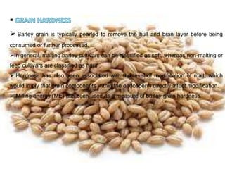 Barley Processing Technology | PPTX