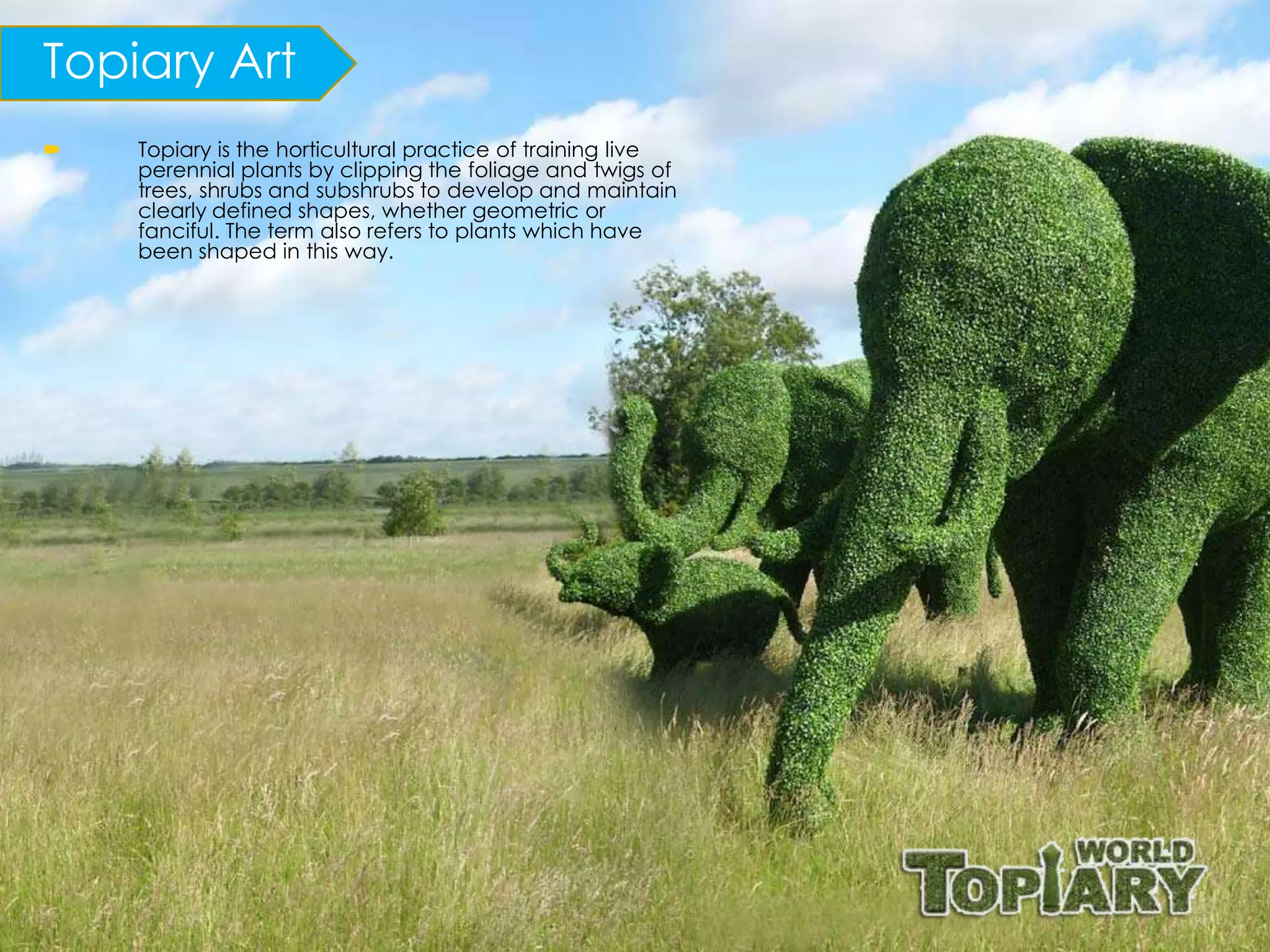 Topiary World Egypt | PPT
