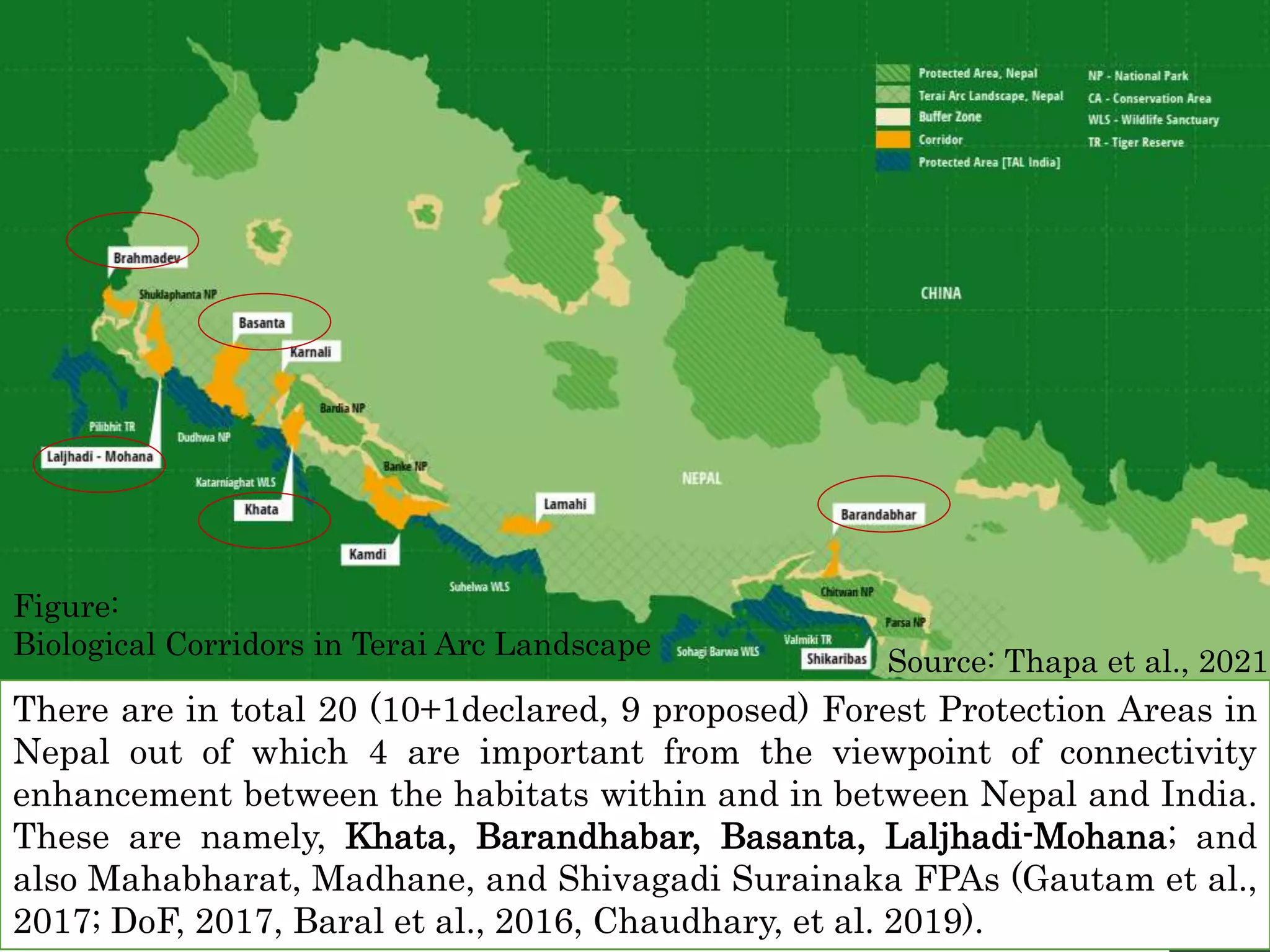 The role of Forest Protection Area management in restoring degraded ...