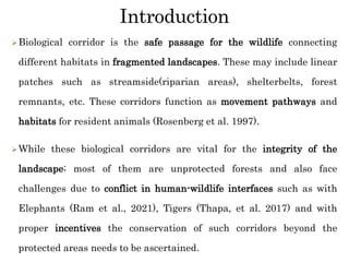 The role of Forest Protection Area management in restoring degraded ...