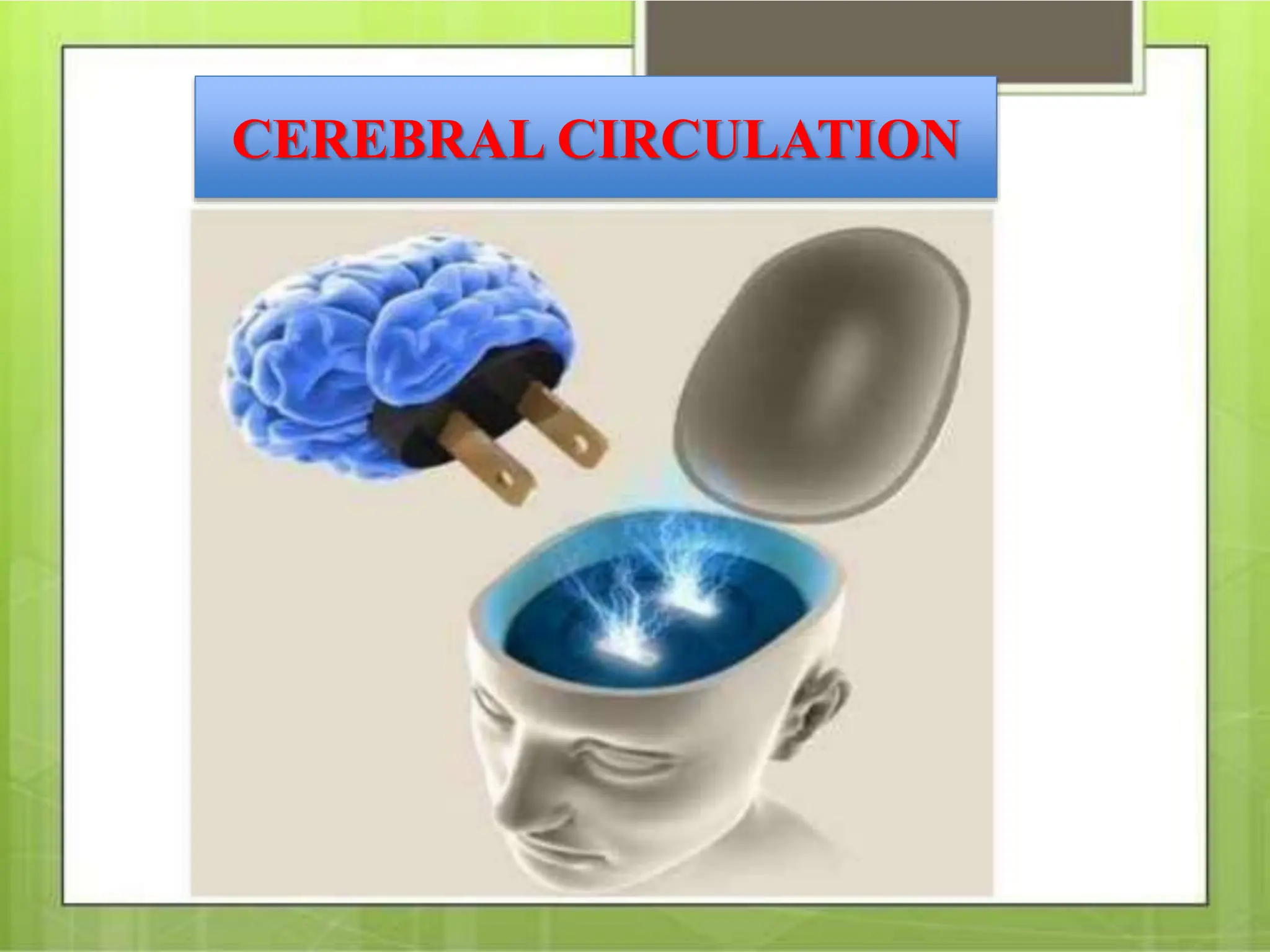 Cerebral Blood flow Chapter 3 in CNS.pptx