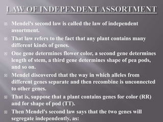 PRINCIPLES OF INHERETANCE- MENDELIAN LAWS | PPTX
