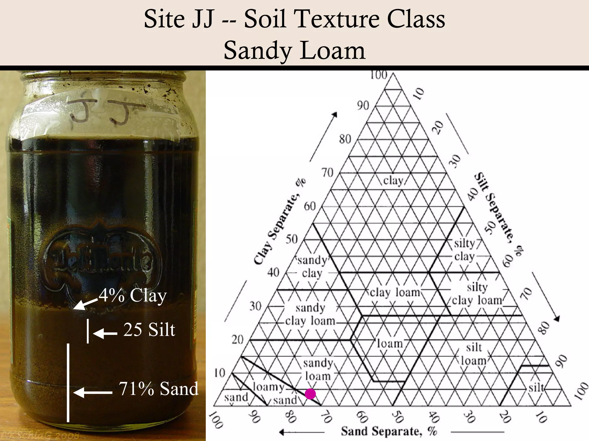 Soil Analysis Presentation | PDF