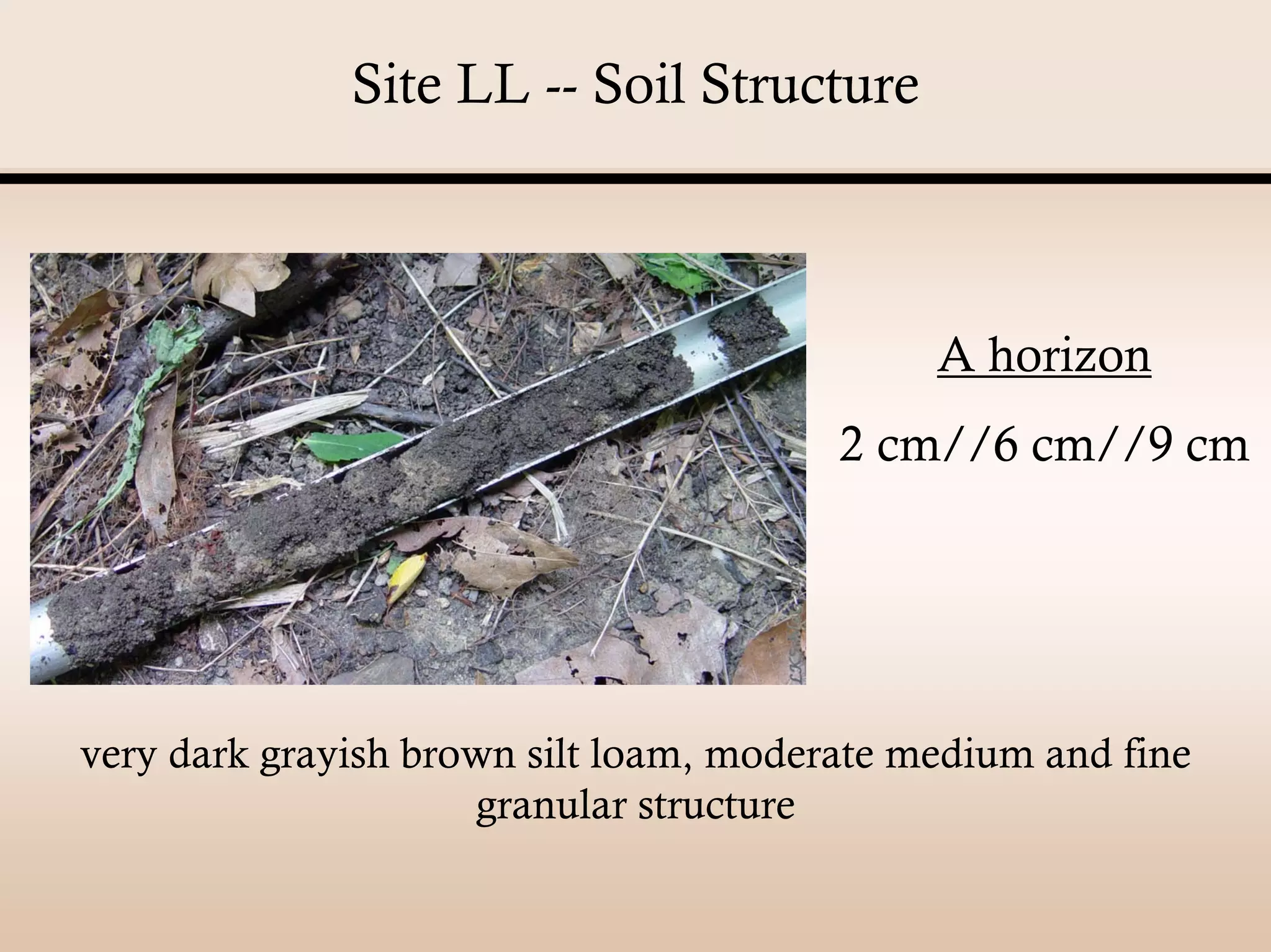 Soil Analysis Presentation | PDF