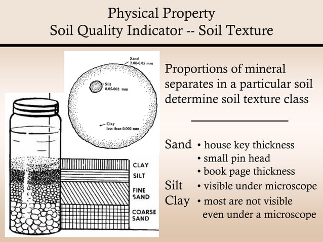 Soil Analysis Presentation | PDF | Gardening | Home & Garden