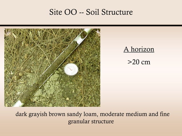 Soil Analysis Presentation | PDF | Gardening | Home & Garden