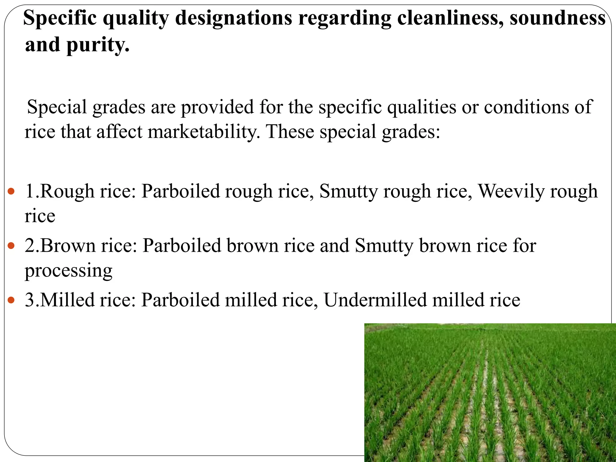 PROCESSING OF RICE - FOOD TECH | PPTX