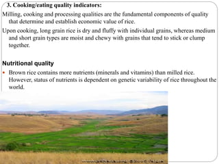 PROCESSING OF RICE - FOOD TECH | PPTX