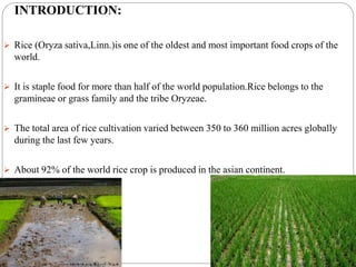 PROCESSING OF RICE - FOOD TECH | PPTX