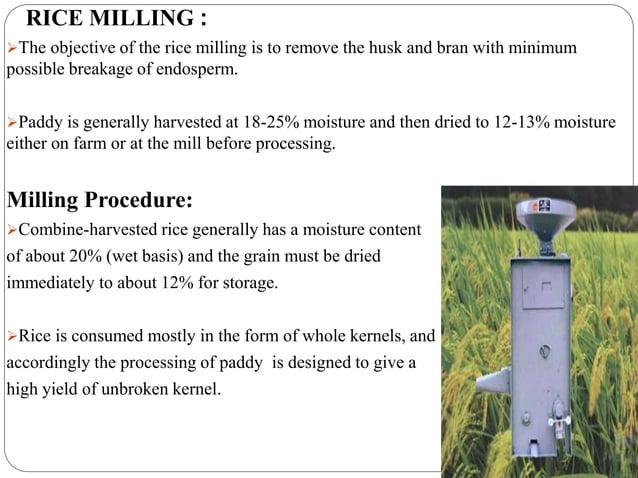 PROCESSING OF RICE - FOOD TECH | PPTX | Cooking | Food & Drink