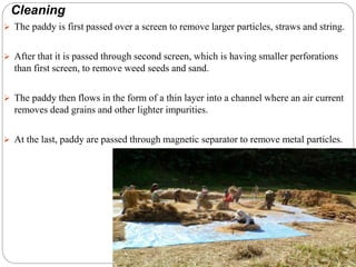 PROCESSING OF RICE - FOOD TECH | PPTX