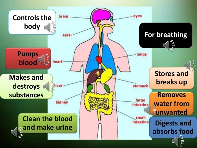 CBI Unit Health Topic Human Organs M1 By ETM cbi-unit-health-topic-human-organs-m1-by-etm