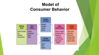 Introduction to Consumer Behavior : A Marketer's Perspective | PPT