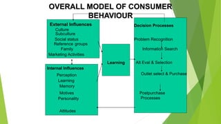 Introduction to Consumer Behavior : A Marketer's Perspective | PPT