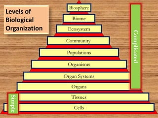 Biological Organization(demo) | PPTX