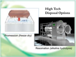 Natural Burial - What & Why? | PPT