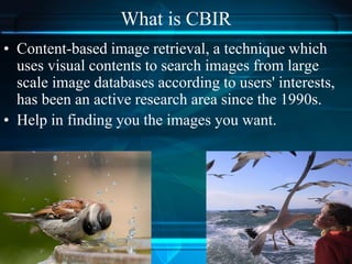 Content Based Image Retrieval | PDF
