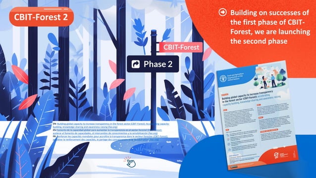 Enhancing forest data transparency for climate action | PPT