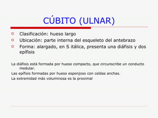 CúBito Maxi | PPT