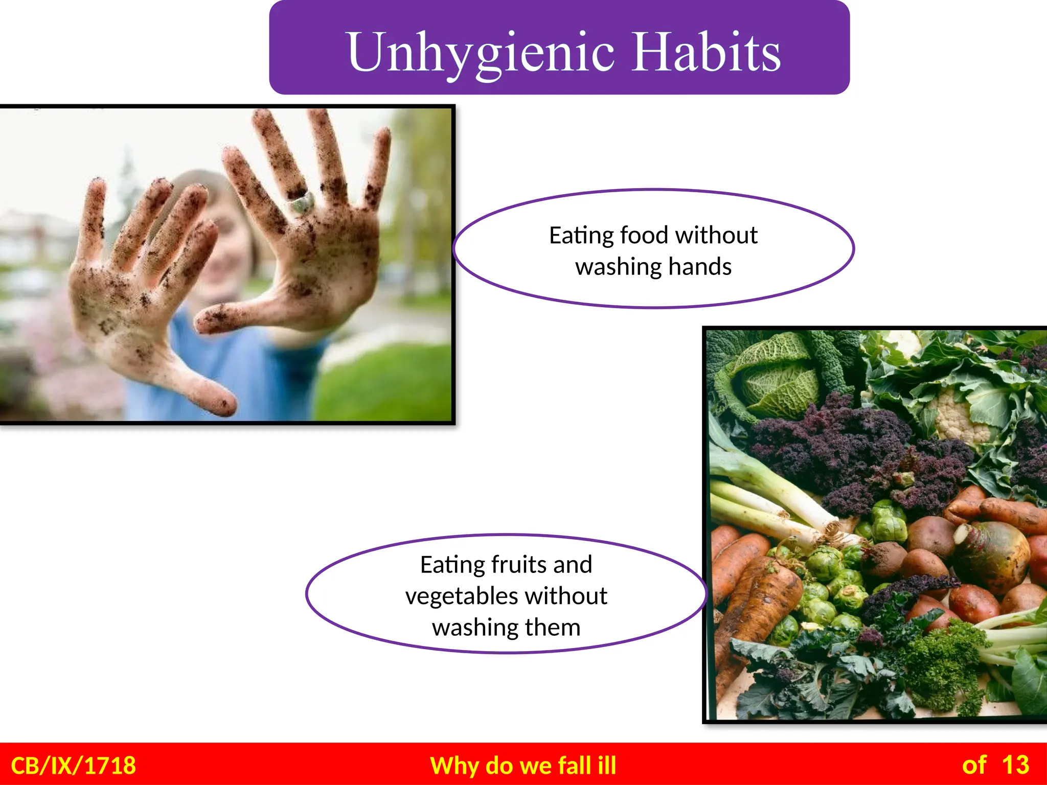 CB_IX_Bio_13_Why do we fall ill.pptx of class | PPTX