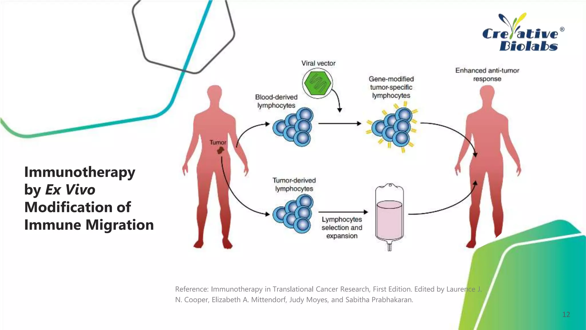 Immune Cell Migration in Cancer and Immunotherapy - Creative Biolabs | PPTX