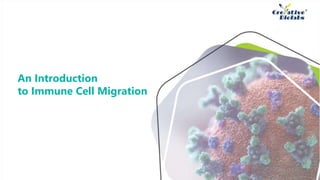 Immune Cell Migration in Cancer and Immunotherapy - Creative Biolabs | PPTX