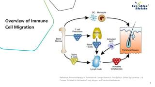 Immune Cell Migration in Cancer and Immunotherapy - Creative Biolabs | PPTX