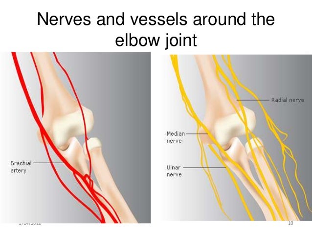 Cbl cubital fossa, forearm and hand