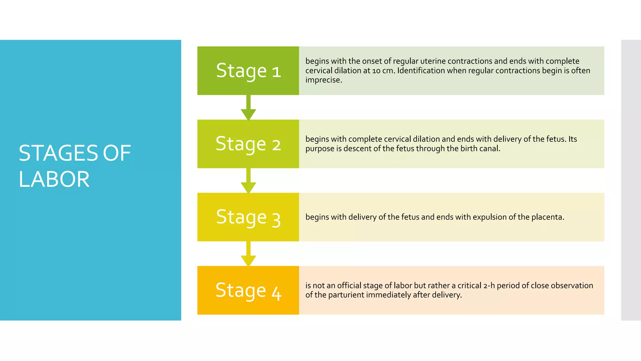 CBL Management of labour.pdf