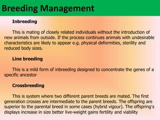 CBLM_Raising_Organic_Goat_Manual_for_beginners.pptx