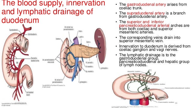 Cbl –stomach & duodenum