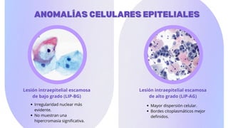 Citología en base líquida y citología de glándula mamaria. | PDF