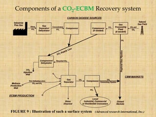 Coal Bed Methane and CO2 - Sequestration (ECBM) | PPTX