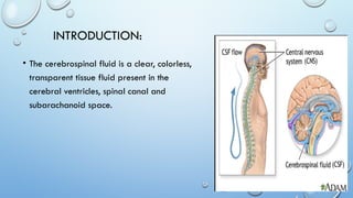 CBME-CSF CHARTS 2nd yearb pathology.pptx