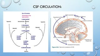 CBME-CSF CHARTS 2nd yearb pathology.pptx
