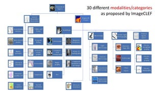 Multi-Label Modality Classification for Figures in Biomedical ...