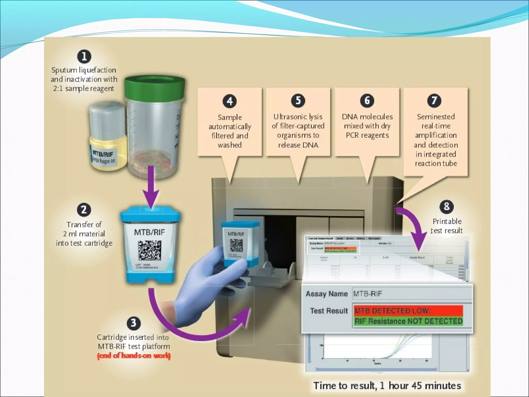 Cbnaat ppt by Dr. Samrat Abhishek | PPT