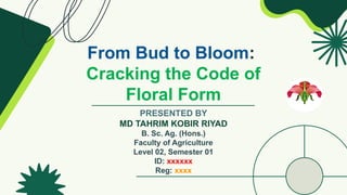 From Bud to Bloom: Cracking the Code of Floral Form.pptx