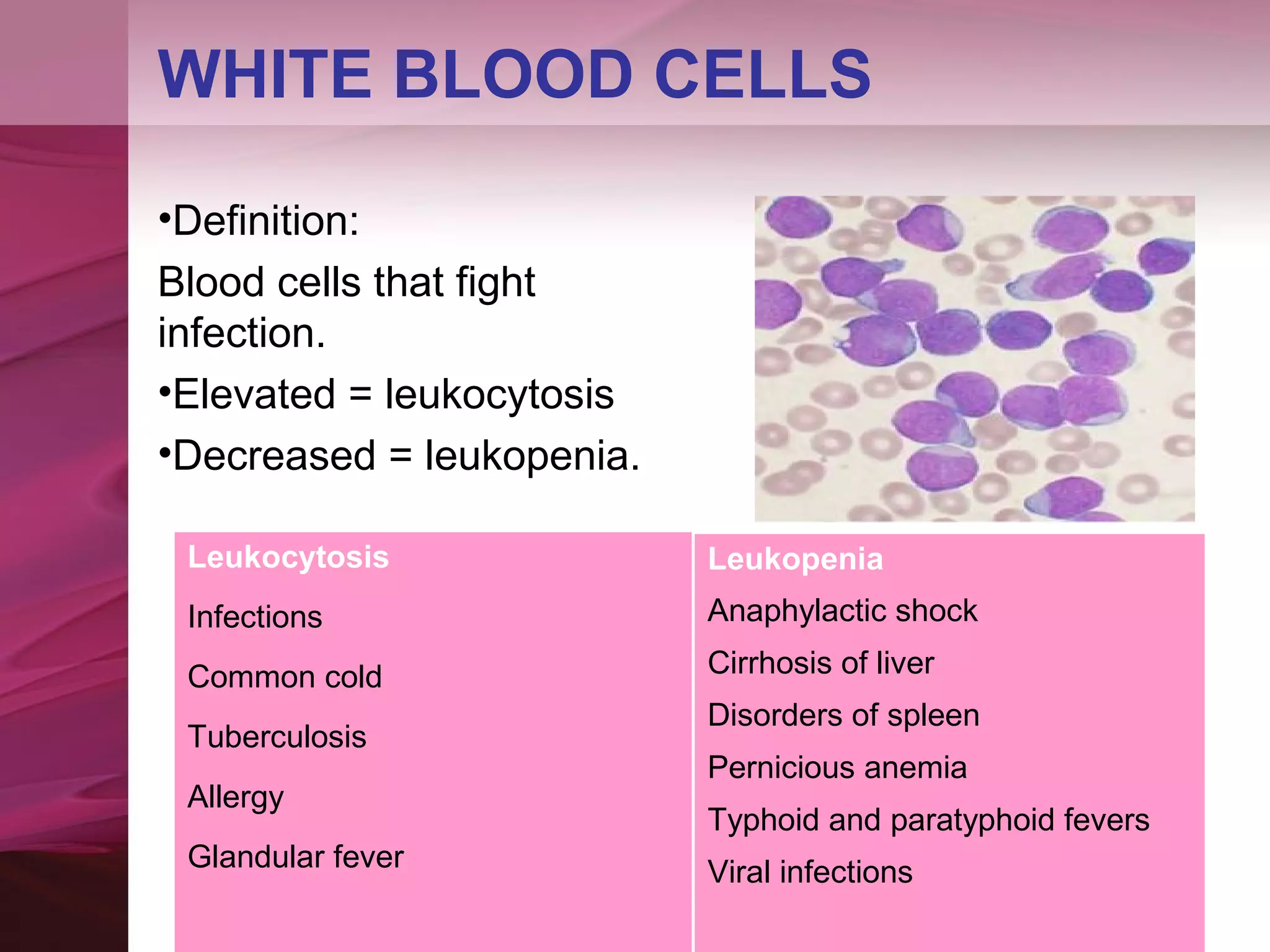 Cbp (3)complete blood picture | PPT