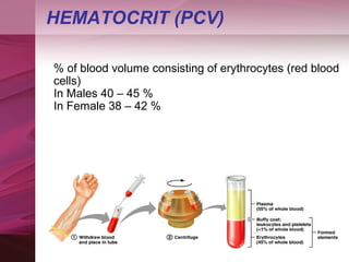 Cbp (3)complete blood picture | PPT