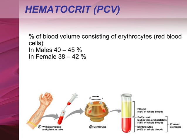 Cbp (3)complete blood picture | PPT
