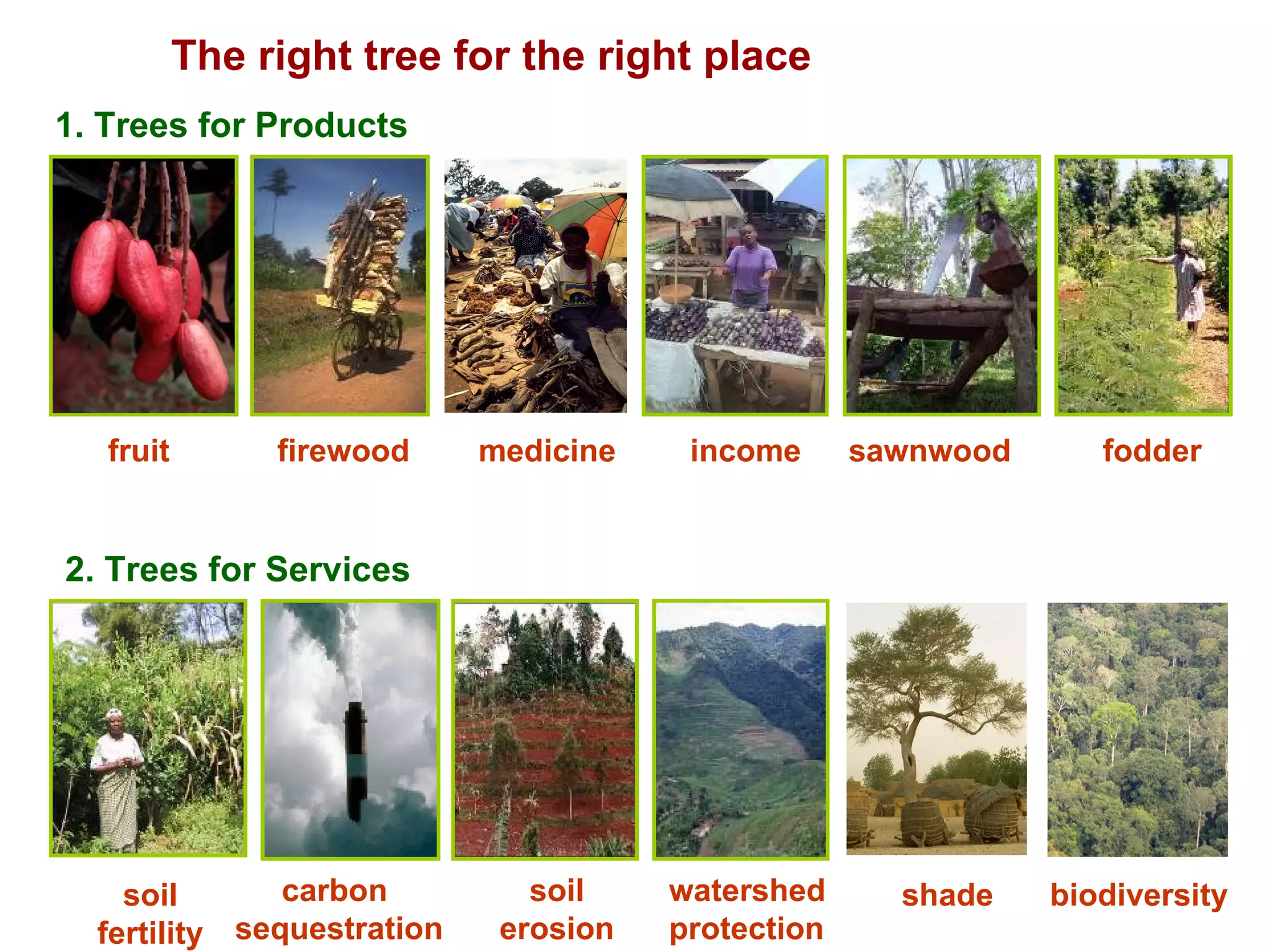 Cbp Best Practice Summary | PPT