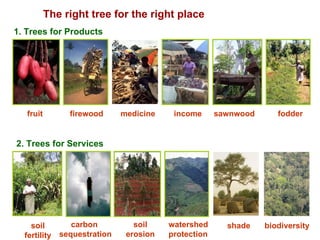 Cbp Best Practice Summary | PPT