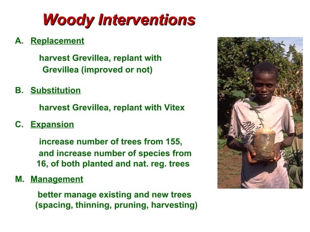 Cbp Best Practice Summary | PPT