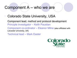 Cbp Component A | PPT