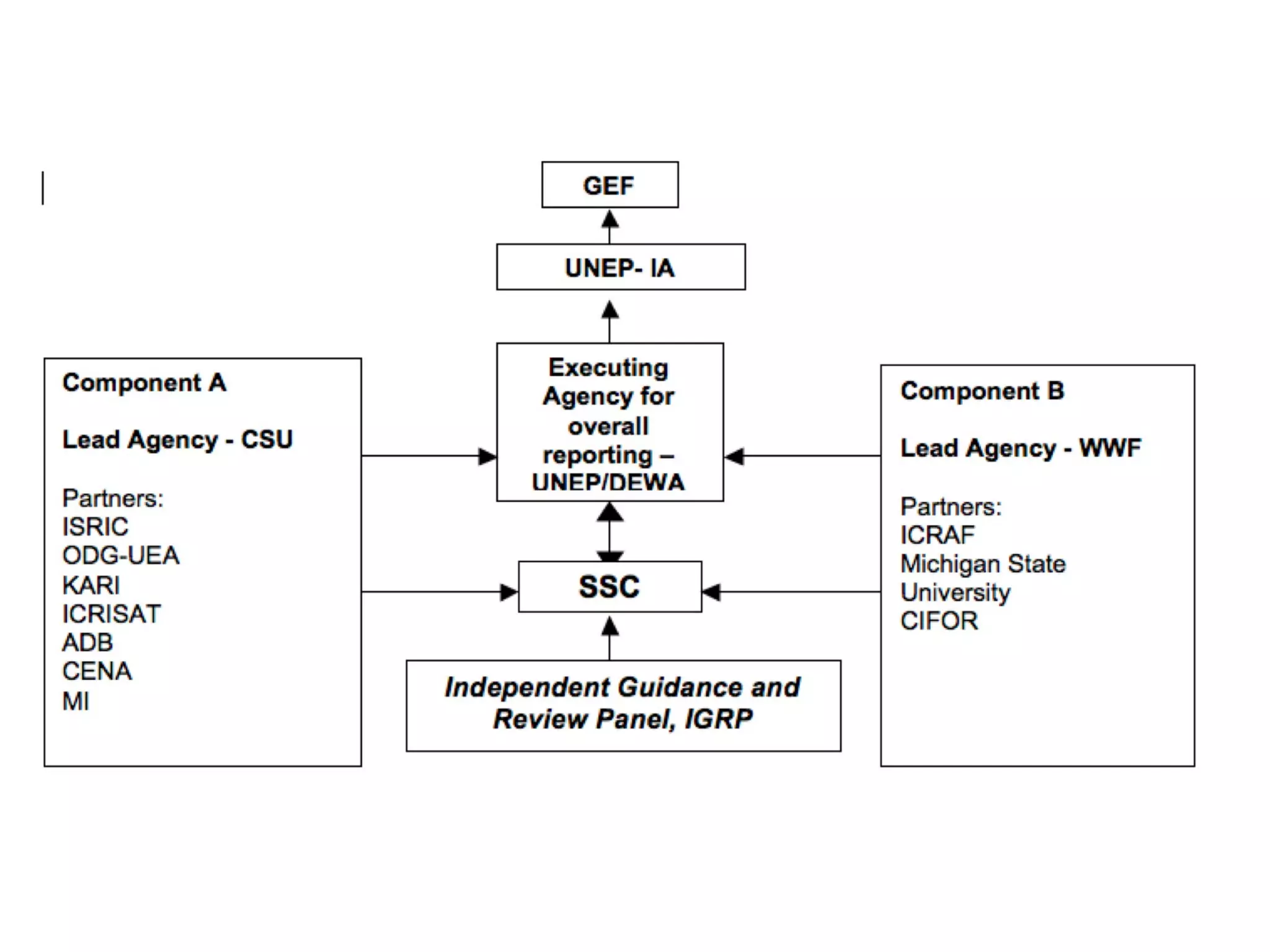Cbp Management Structure | PPT