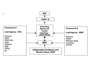 Cbp Management Structure | PPT