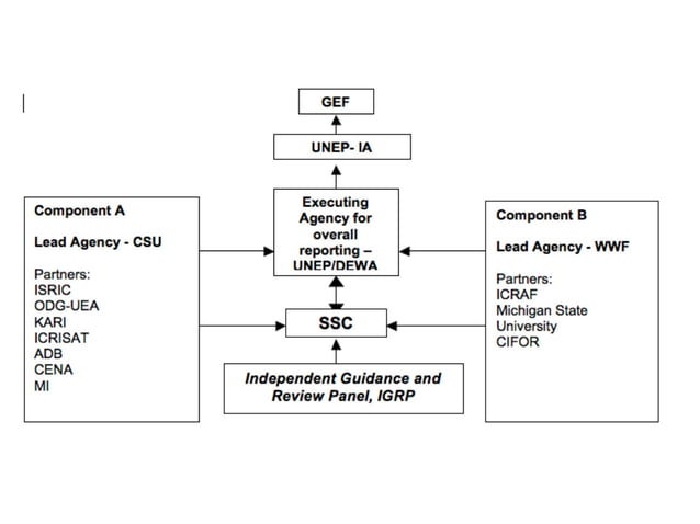 Cbp Management Structure | PPT